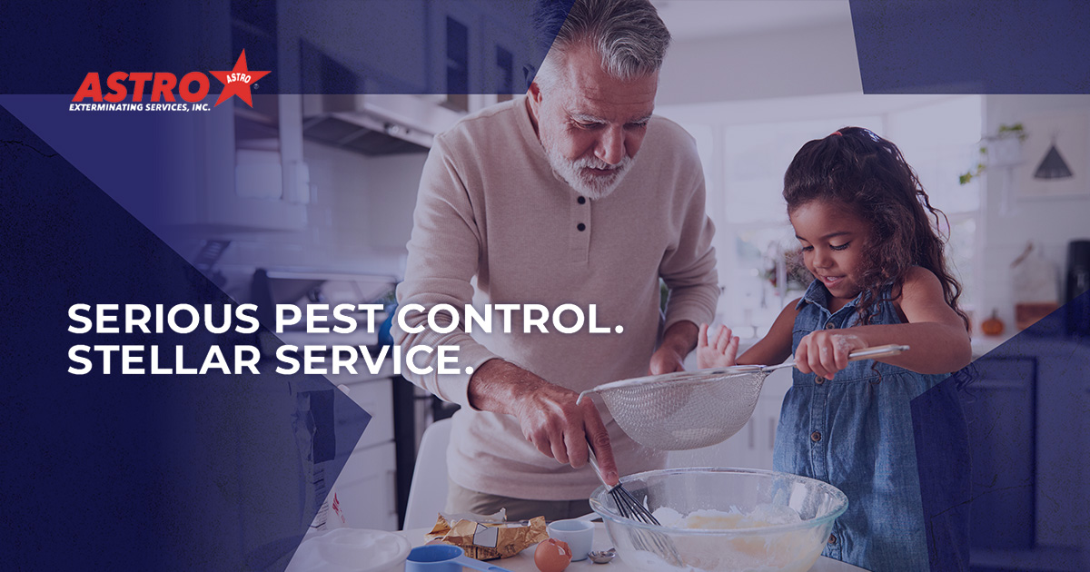 Valdosta Bee & Wasp Control | Astro Exterminating Services