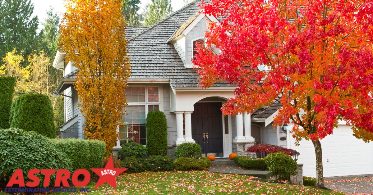 Fall Pest Invasions: How to Keep Critters Out as Temperatures Drop