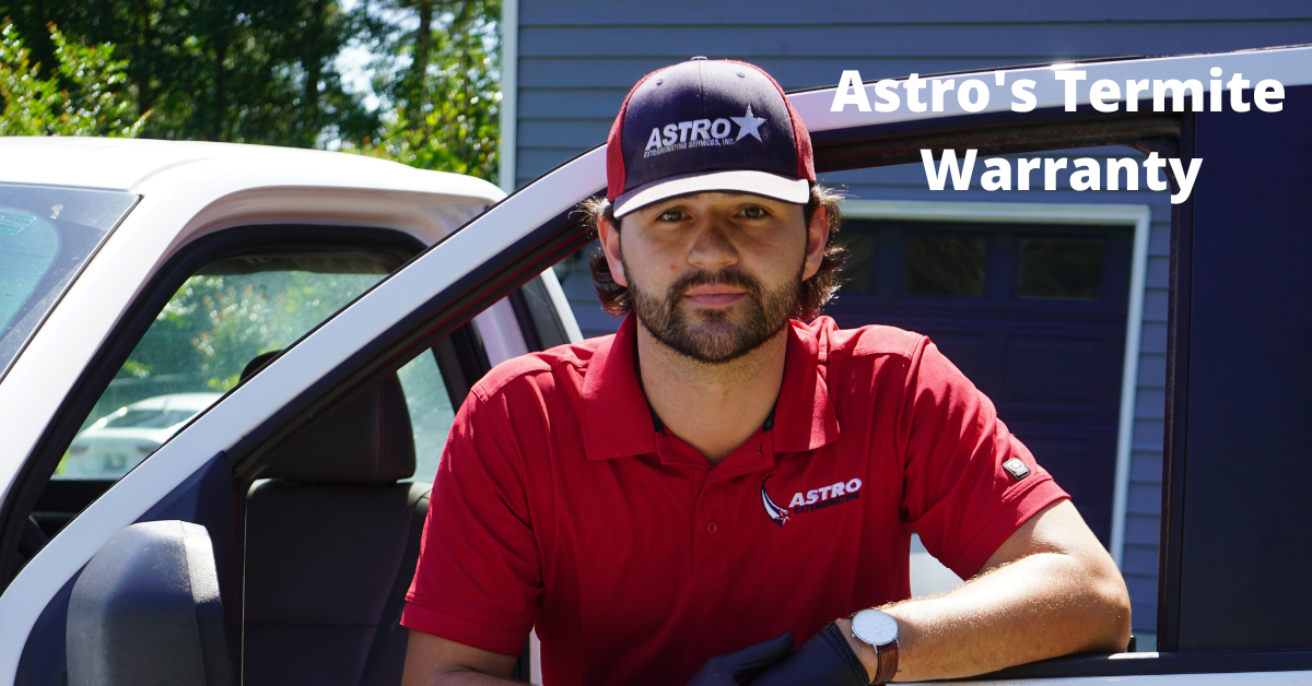 Why an Astro Exterminating Termite Warranty is the Best in the Business ...