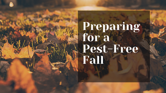 Preparing for a Pest-Free Fall - Astro ExterminatingAstro Exterminating